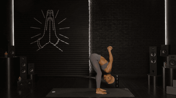 Browse Classes | Y7 STUDIO