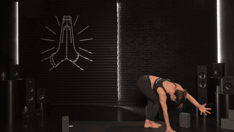 Browse Classes | Y7 STUDIO